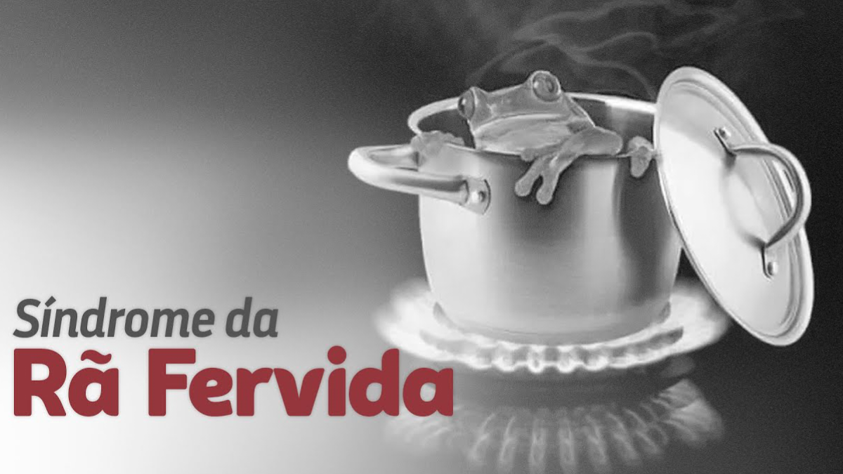 A síndrome da rã fervida - Simone Navarro